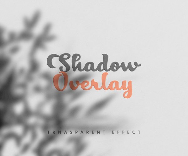 Mockup template of organic shadow effect of natural leaves falling on ...