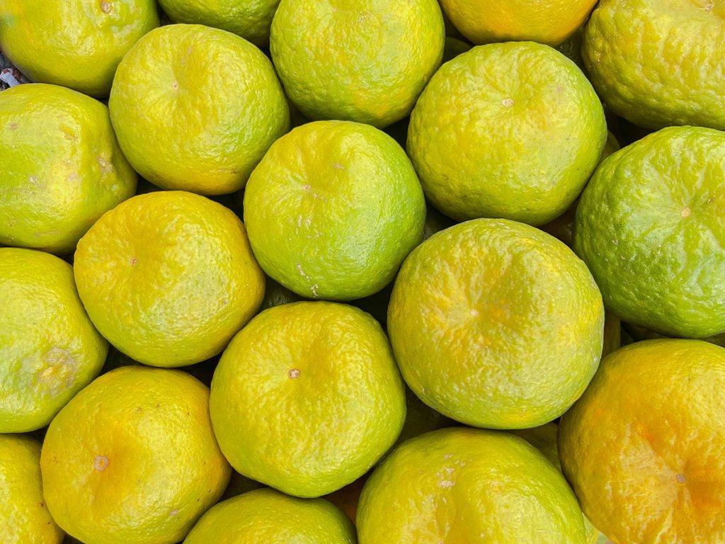 Fresh green oranges background - Pixcrafter