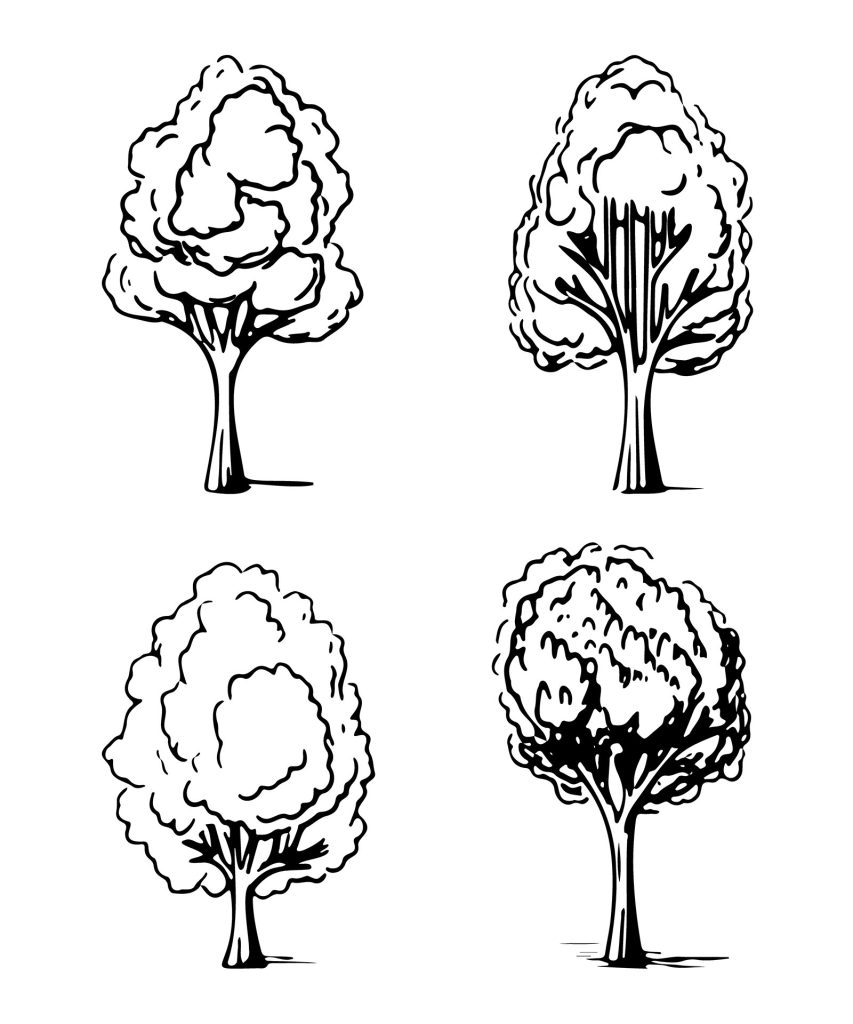 Vector Tree Sketches - Pixcrafter