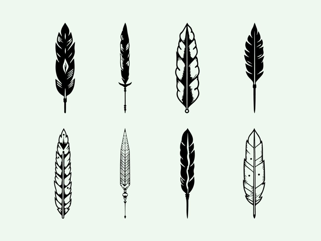 Feathers Set Vector Illustrations - Pixcrafter