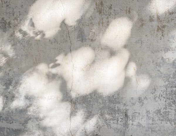 Old Textured Wall With Natural Light And Shadows - Pixcrafter