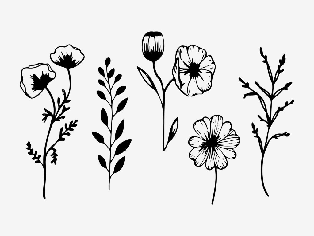 Vector Hand Drawn Style Garden Botanical Elements - Pixcrafter