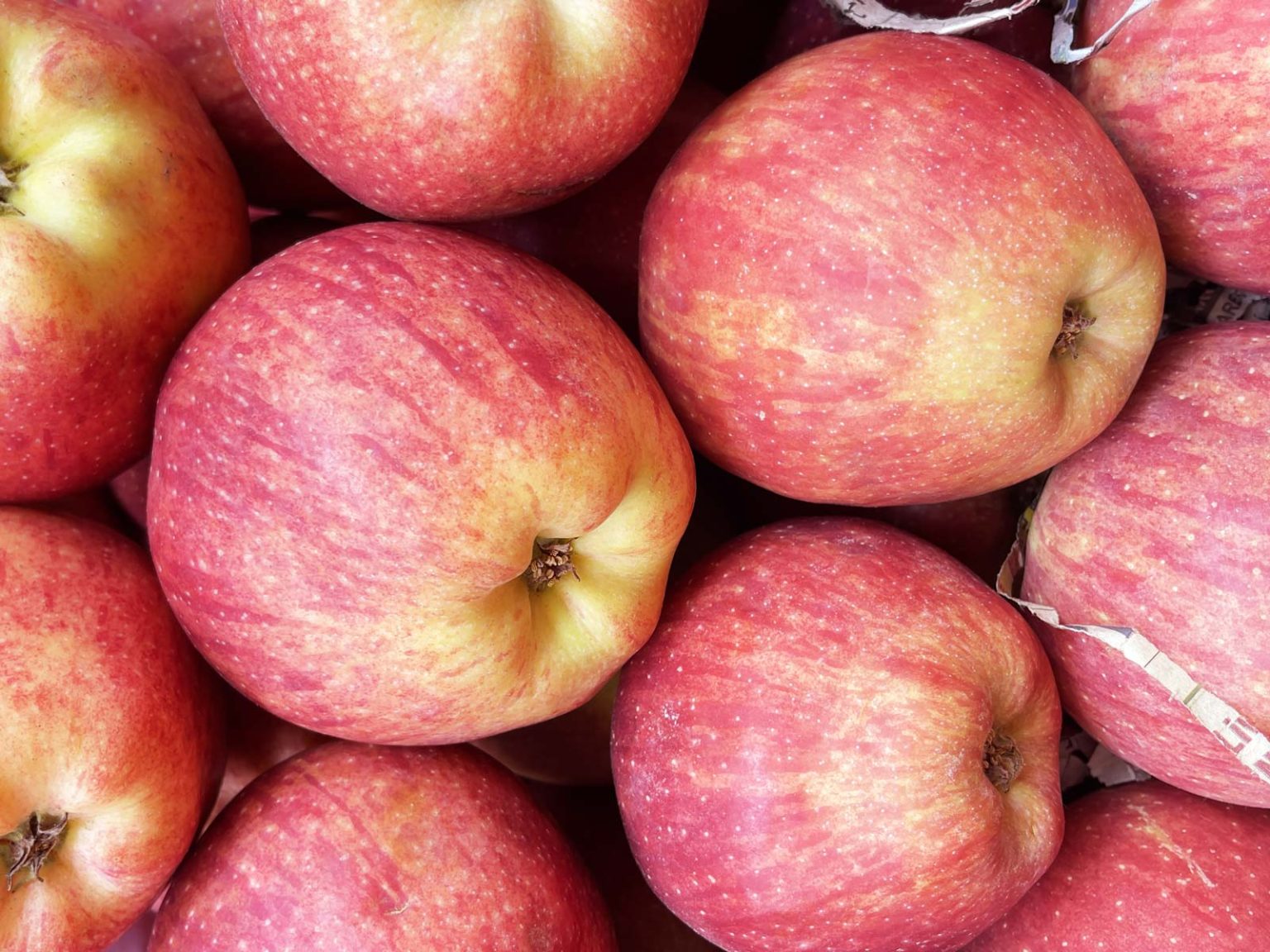 Natural Fresh Apple Fruit Image - Pixcrafter